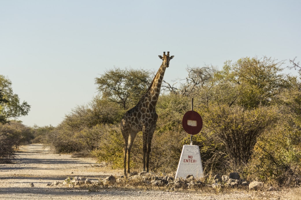 Namibia Reisen im November - Safari, Urlaub und Klima