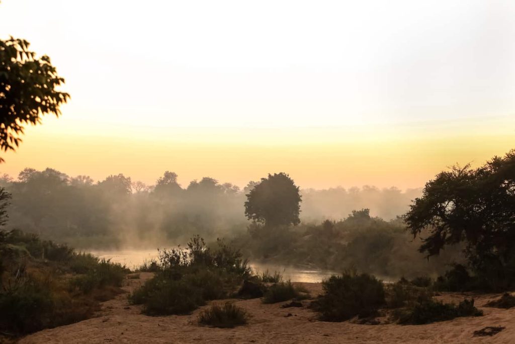 Top 10 Highlights & Gründe für Gabun: Natur, Kultur + Abenteuer