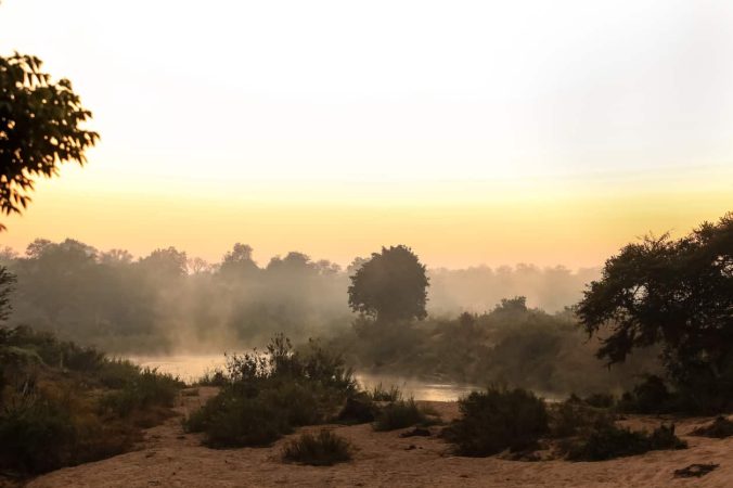Top 10 Highlights & Gründe für Gabun: Natur, Kultur + Abenteuer