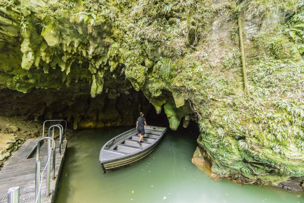 Waitomo Caves: Neuseelands magische Glühwürmchengrotten