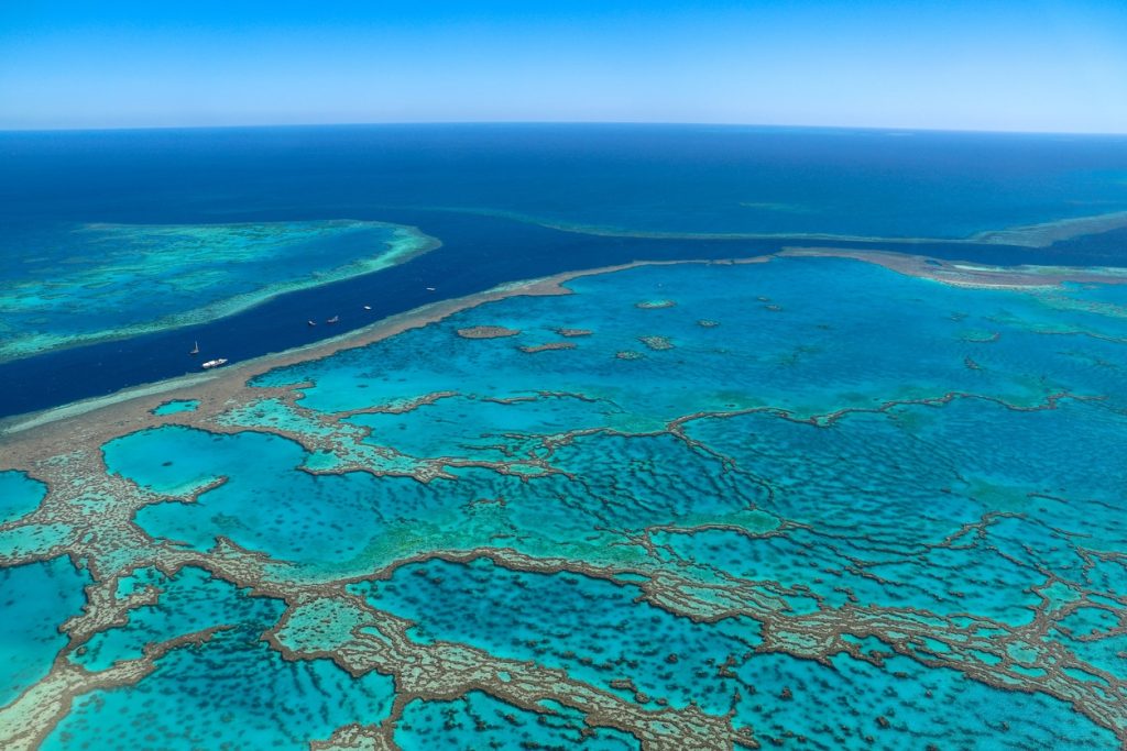 Australiens Great Barrier Reef: Faszination Unterwasserwelt