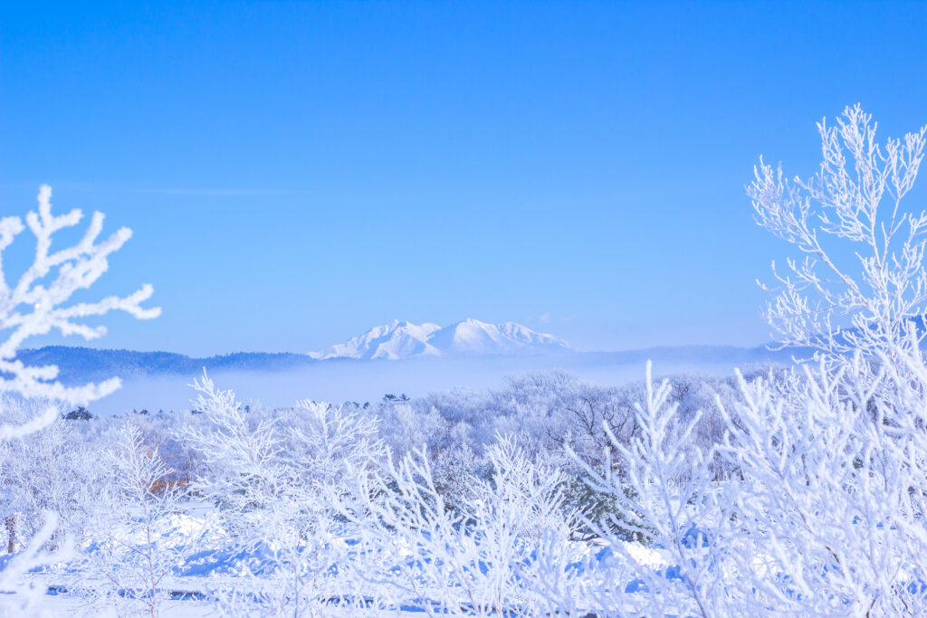 Beste Reisezeit Japan – Klima, Tipps & ideale Reisemonate